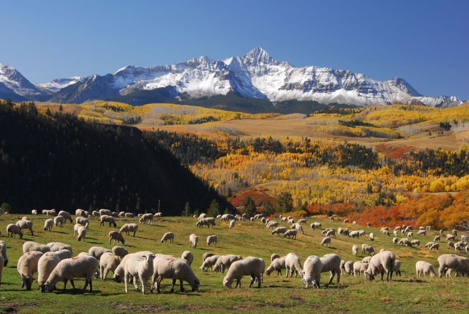 Telluride - Ann Duncan Photography